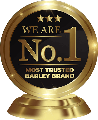 Barley For Diabetes | Home